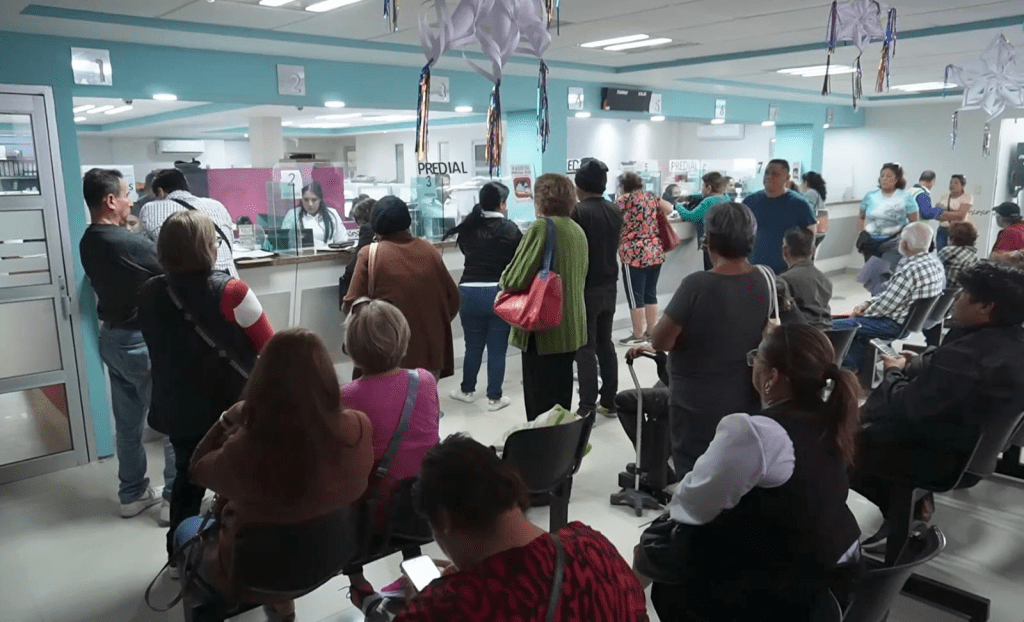 Moderniza SEDUMA gestión de trámites ambientales y urbanos – Heroica ...